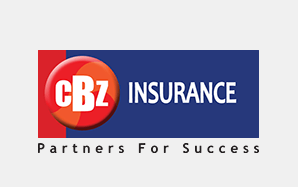 Overviews Archives - CBZ Holdings